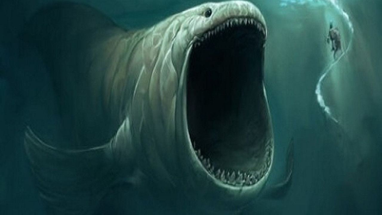 Bloop Gerçek mi? - Yozgat Haber - Yozgat Çamlık Gazetesi